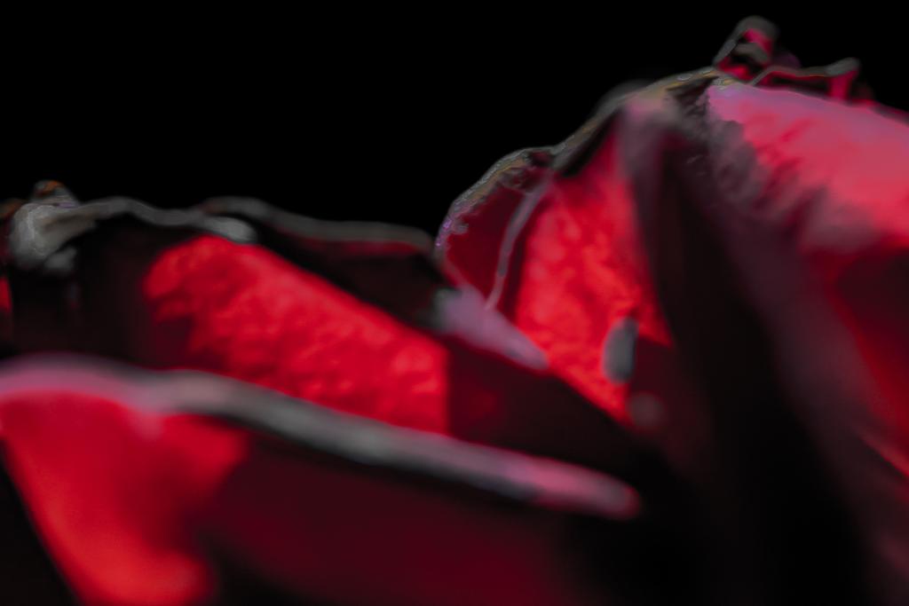 Taking a Moment - Jason Lopez