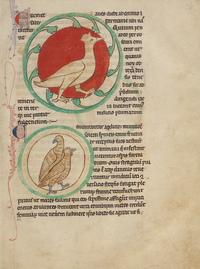 A Hercinia; Partridges (Getty Museum)