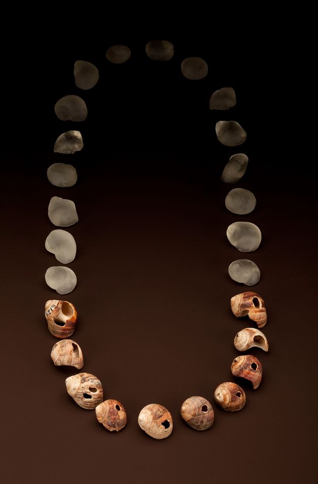 Artists’ Things | Shell