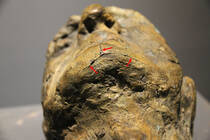 Guidelines for the Technical Examination of Bronze Sculpture | Casting ...