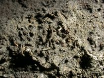 Guidelines for the Technical Examination of Bronze Sculpture | Casting ...